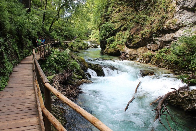 Visitar garganta Vintgar cerca de Bled | Lonifasiko